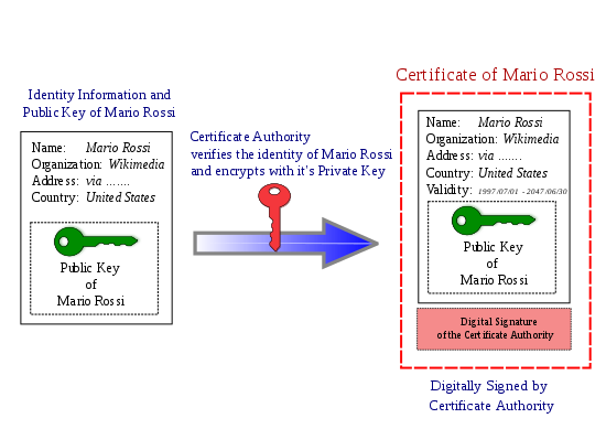 Certificate Authority Certificates Templates Free